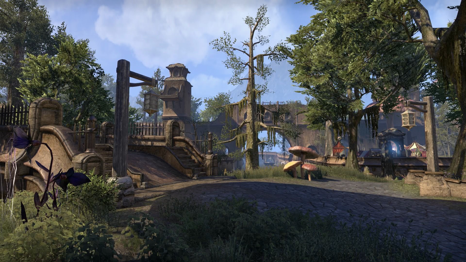 ELDER SCROLLS ONLINE MORROWIND [M] (BASE GAME ONLY INCLUDED)