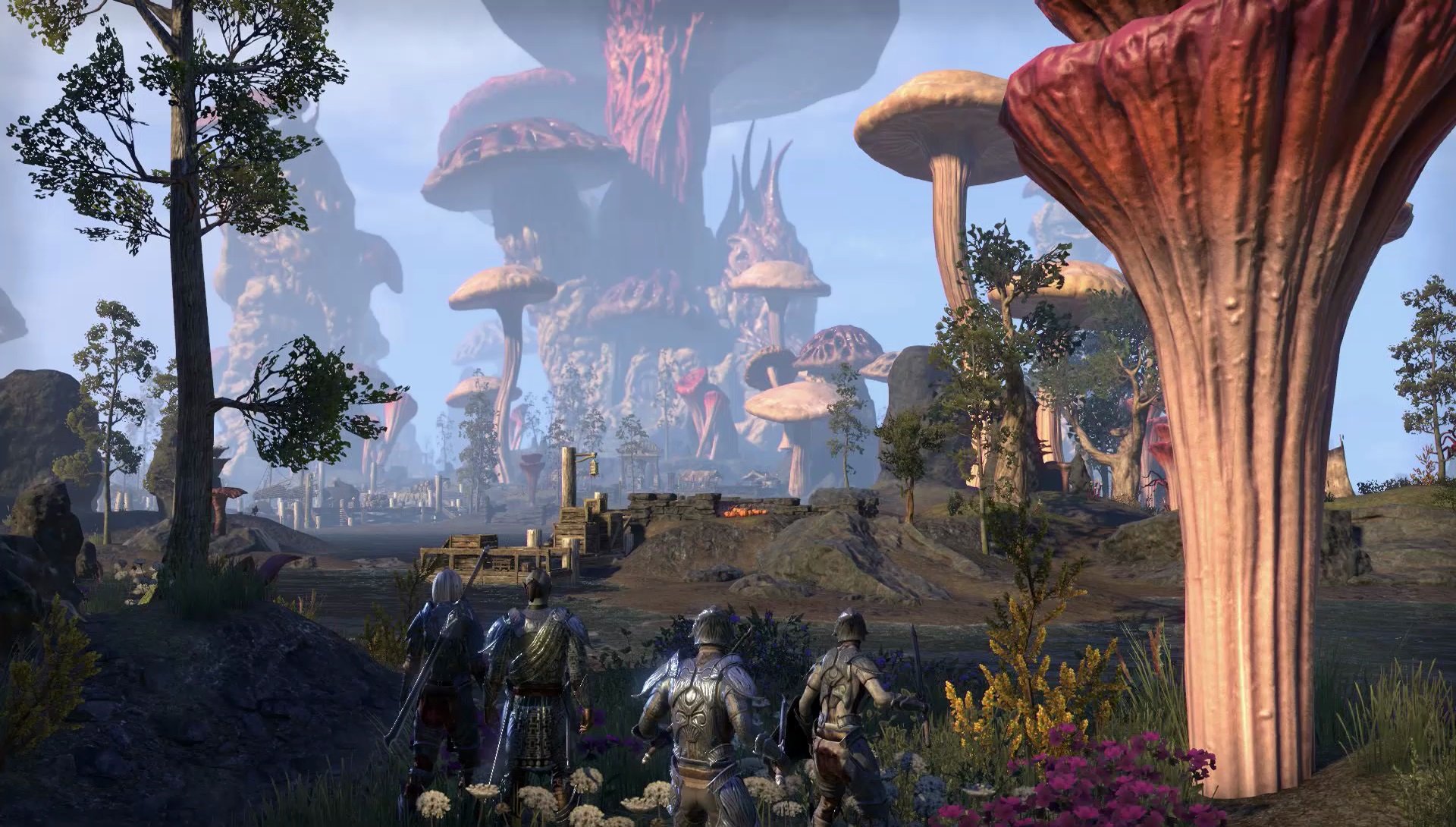 ELDER SCROLLS ONLINE MORROWIND [M] (BASE GAME ONLY INCLUDED)