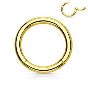 pair of 316l surgical steel hinged segment wildklass rings (16g 8mm gold)