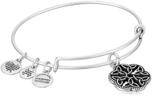 alex and ani classics expandable bangle for women, endless knot iii charm, rafaelian silver finish, 2 to 3.5 in