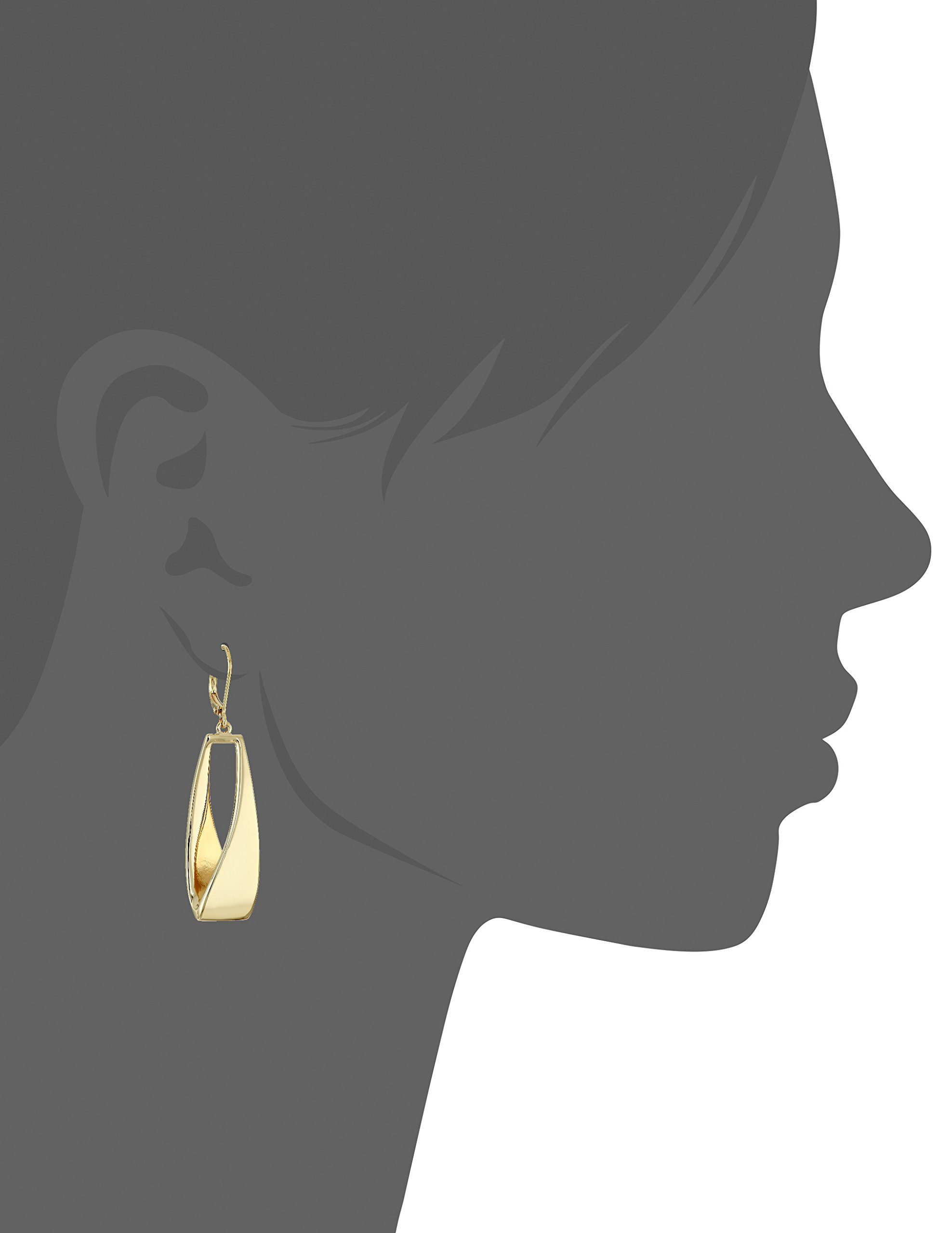 Anne Klein Goldtone Linear Drop Earrings