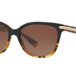 Coach HC8132 Sunglasses, Black Tortoise Gradient/Brown Gradient Polarized, 57 mm