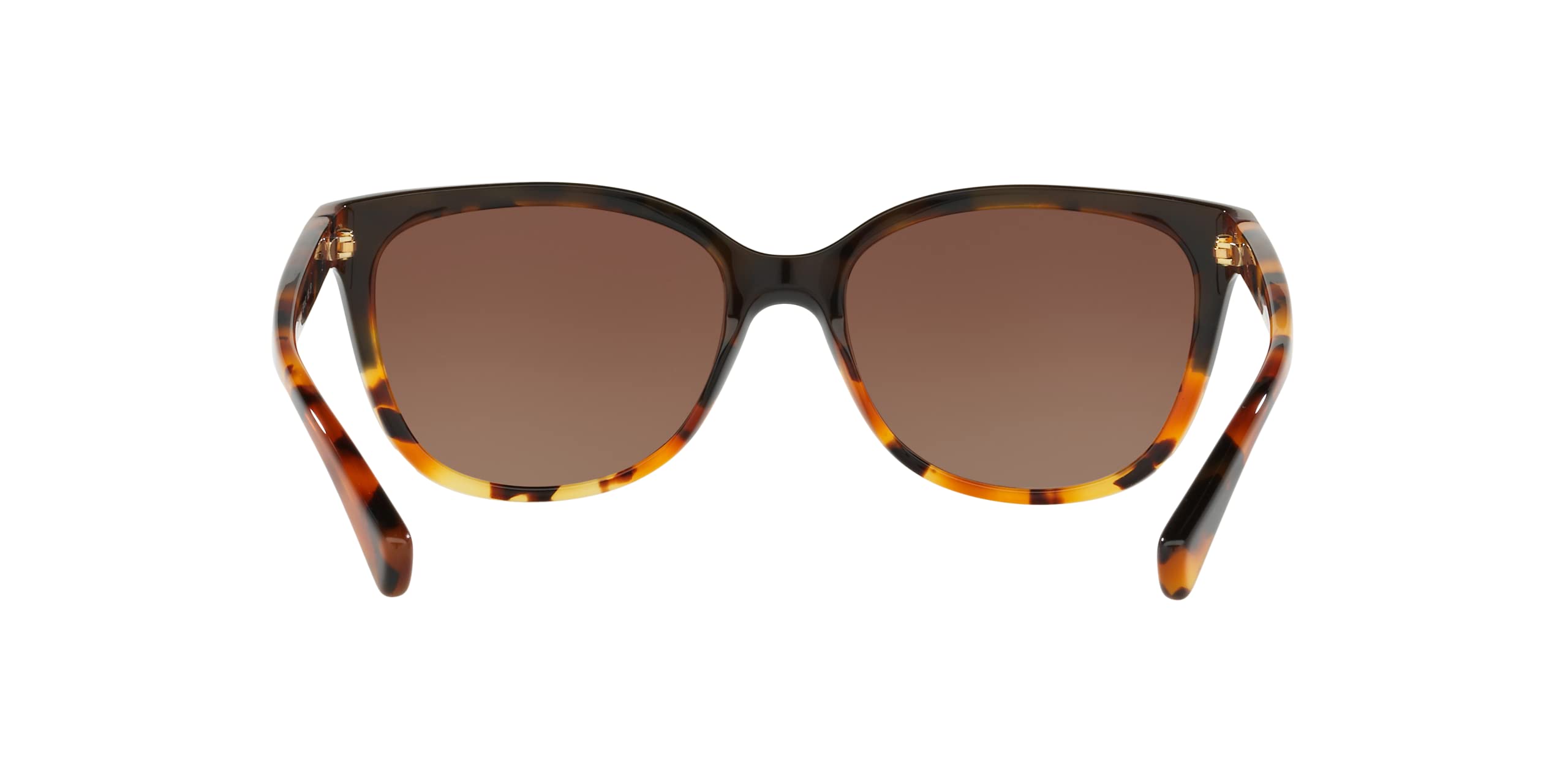 Coach HC8132 Sunglasses, Black Tortoise Gradient/Brown Gradient Polarized, 57 mm