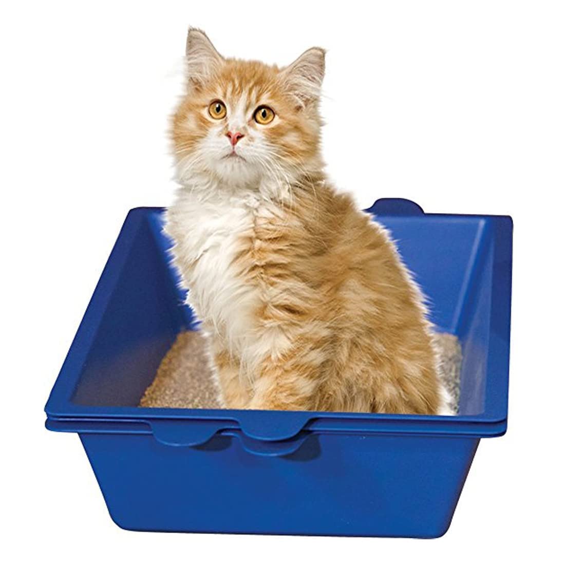 Sift Away Sa-Mc6 Pet Litter, Blue