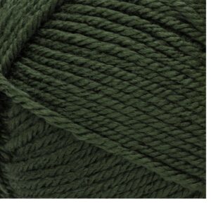 Bulk Buy: Red Heart Soft Yarn (2-Pack) (Dark Leaf)