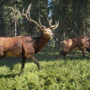 theHunter: Call of the Wild - PC