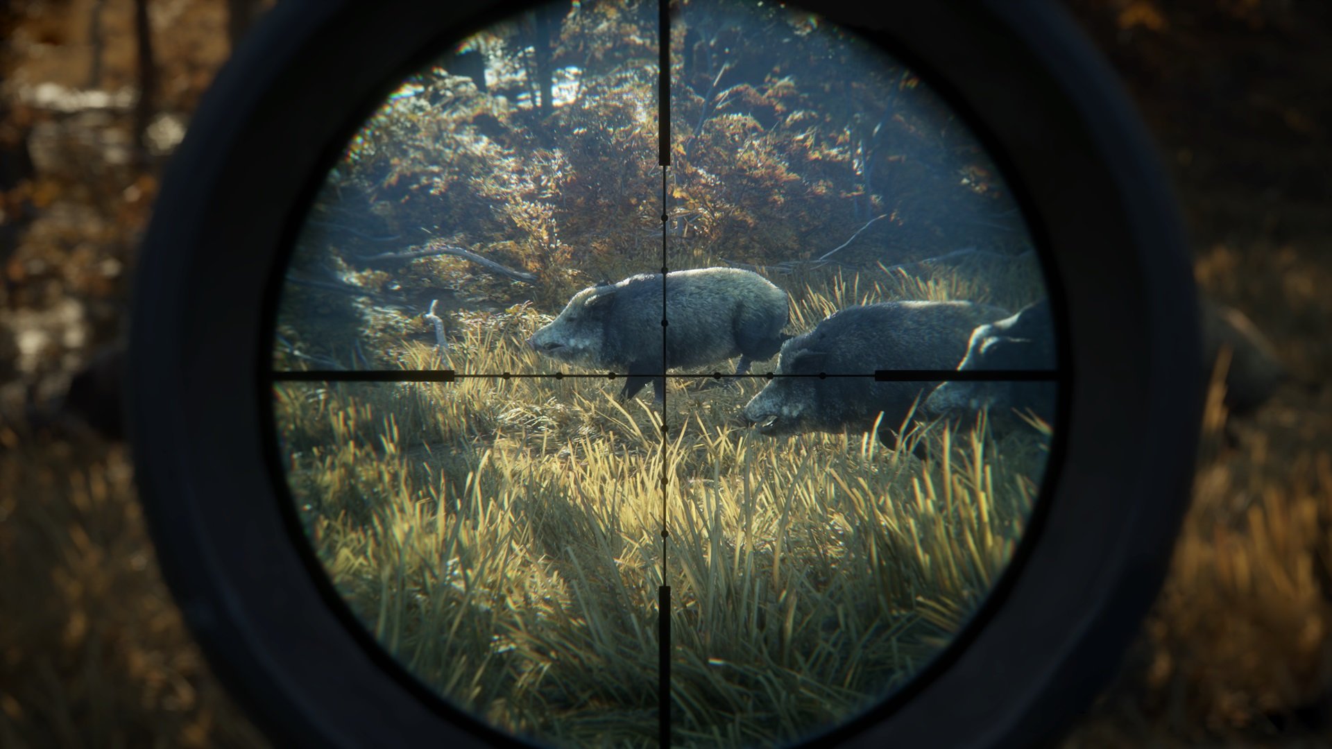 theHunter: Call of the Wild - PC