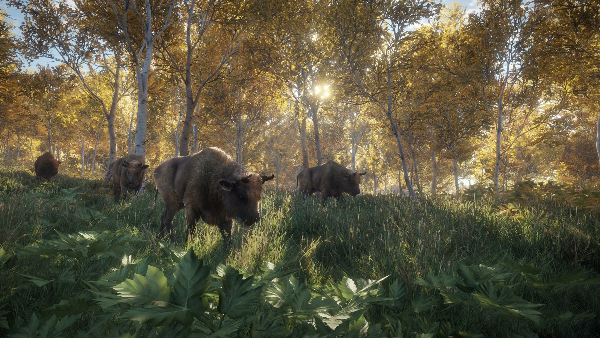 theHunter: Call of the Wild - PC