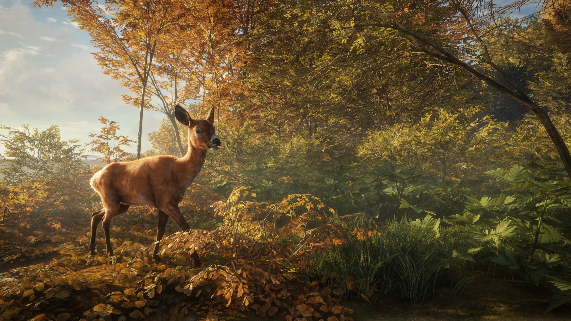 theHunter: Call of the Wild - PC