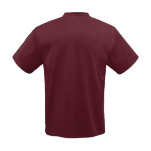 Champion Mens Classic T-shirt, Everyday Tee For Men, Comfortable Soft (Reg. Or Big & Tall), Maroon, X-Large US