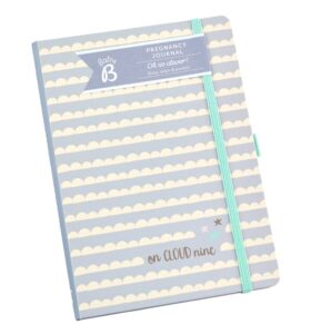 busy b 6591 clouds pregnancy journal book