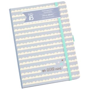 Busy B 6591 Clouds Pregnancy Journal Book