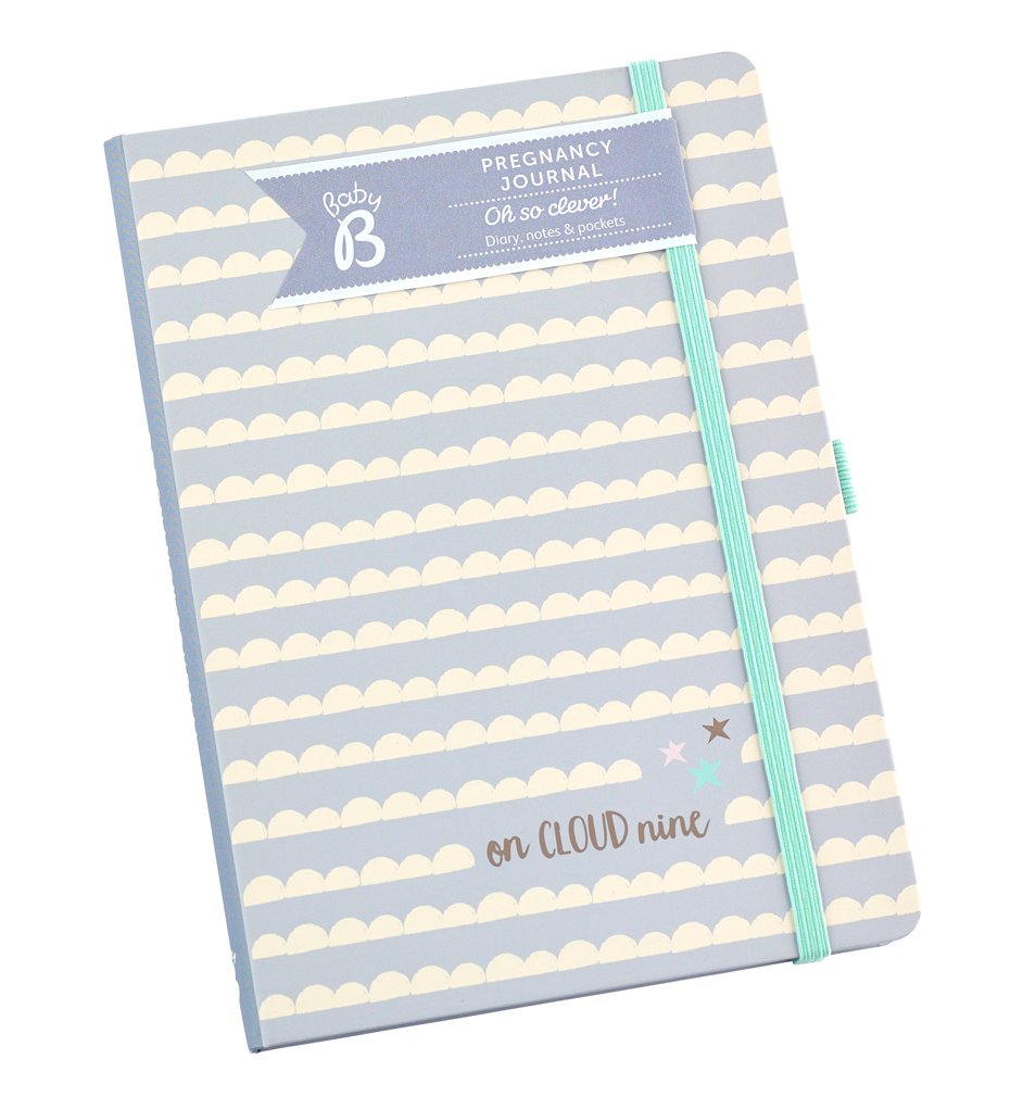 Busy B 6591 Clouds Pregnancy Journal Book