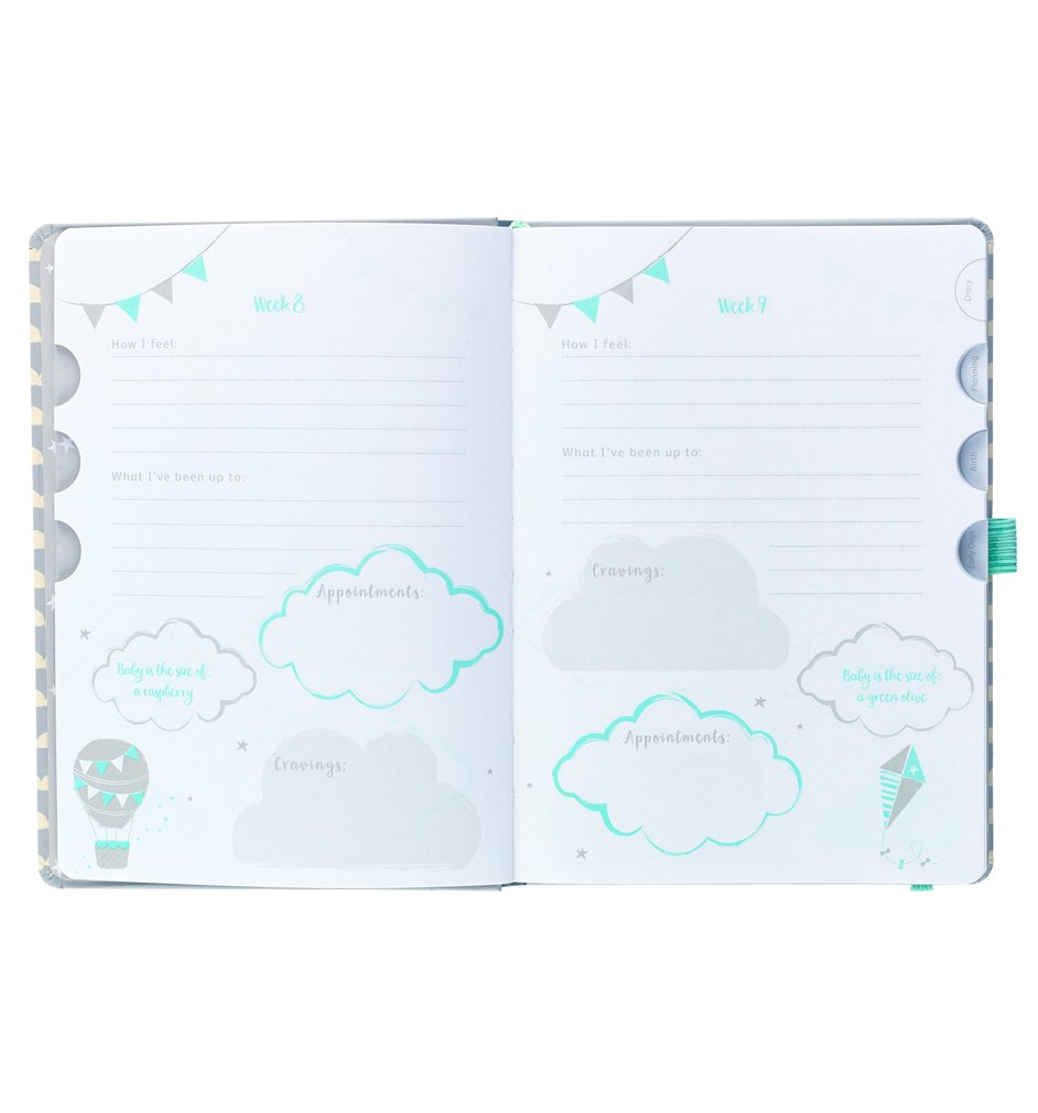 Busy B 6591 Clouds Pregnancy Journal Book