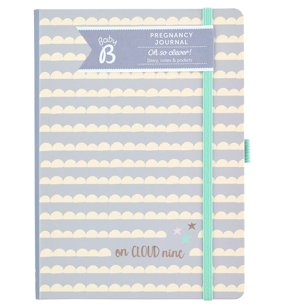 Busy B 6591 Clouds Pregnancy Journal Book