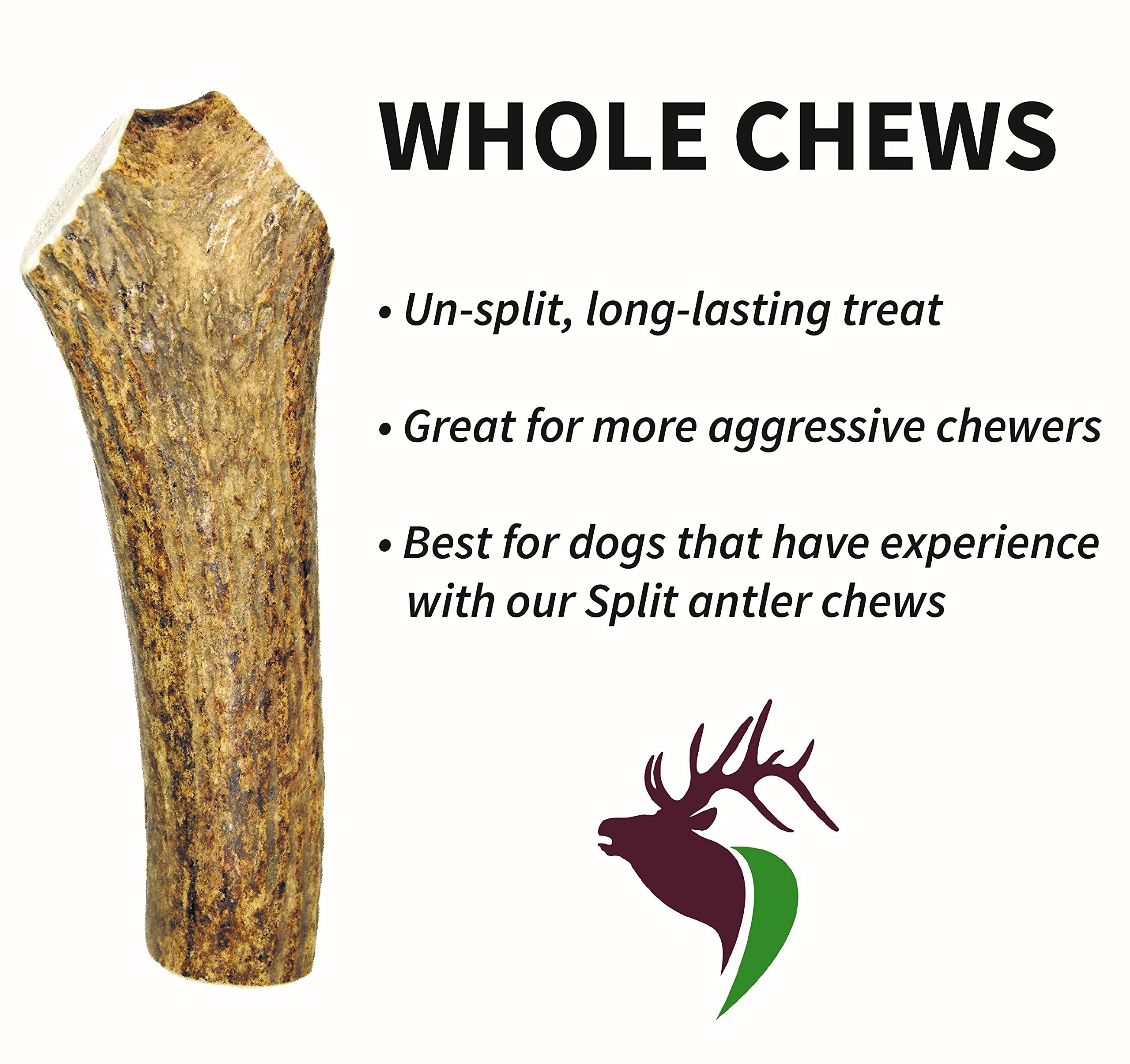 Elkhorn Premium Chews - Small Whole Single Pack (for 10-30 lb Dogs and Puppies) Premium Grade Elk Antler for Dogs (1 Piece) Sourced in The USA