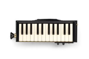 hammond bb pro-24b bass melodica