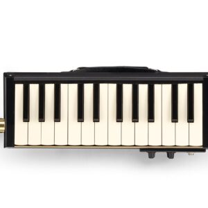 HAMMOND BB PRO-24B Bass Melodica