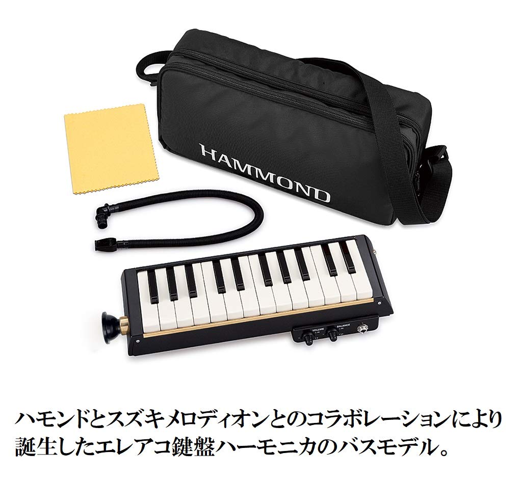 HAMMOND BB PRO-24B Bass Melodica