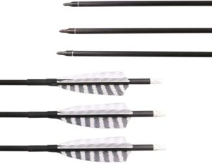 huntingdoor 31 inch hunting carbon arrows, replaceable points tips arrows with 4 inch real feather fletching,400 spine targeting arrows for recurve bow longbow practice white (pack of 6)