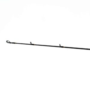 Phantom Favorite Casting Rod