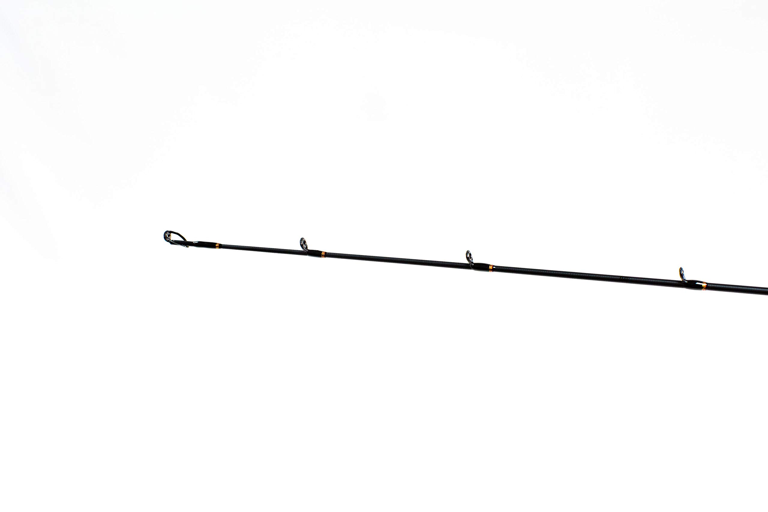 Phantom Favorite Casting Rod