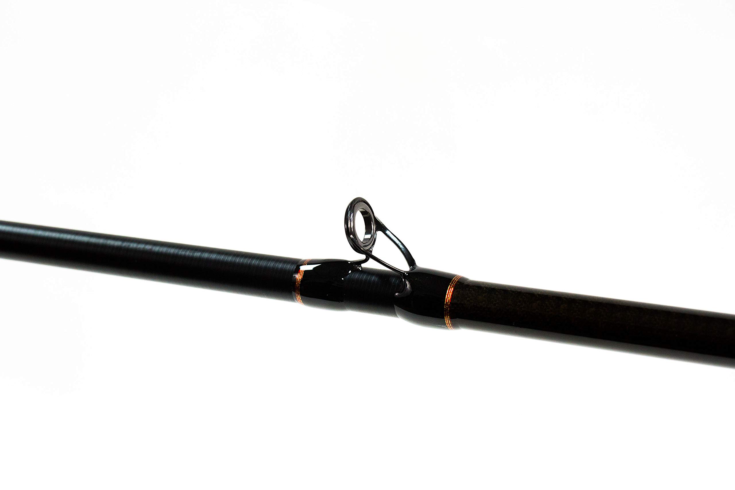 Phantom Favorite Casting Rod