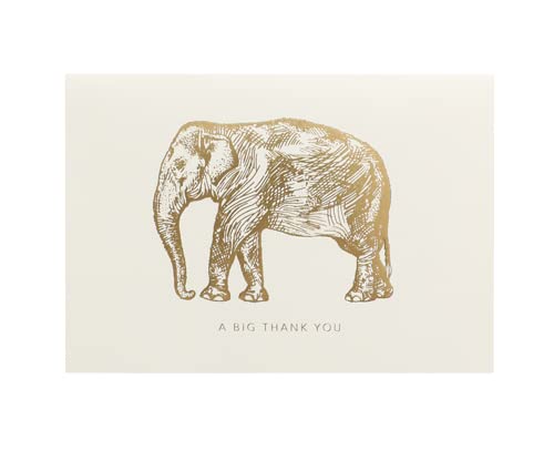 Portico Designs Gold Foiled Elephant Boxed Thank You Notecard Set of 10 with matching envelopes, Off White, Card size 14.8x10.5 cm