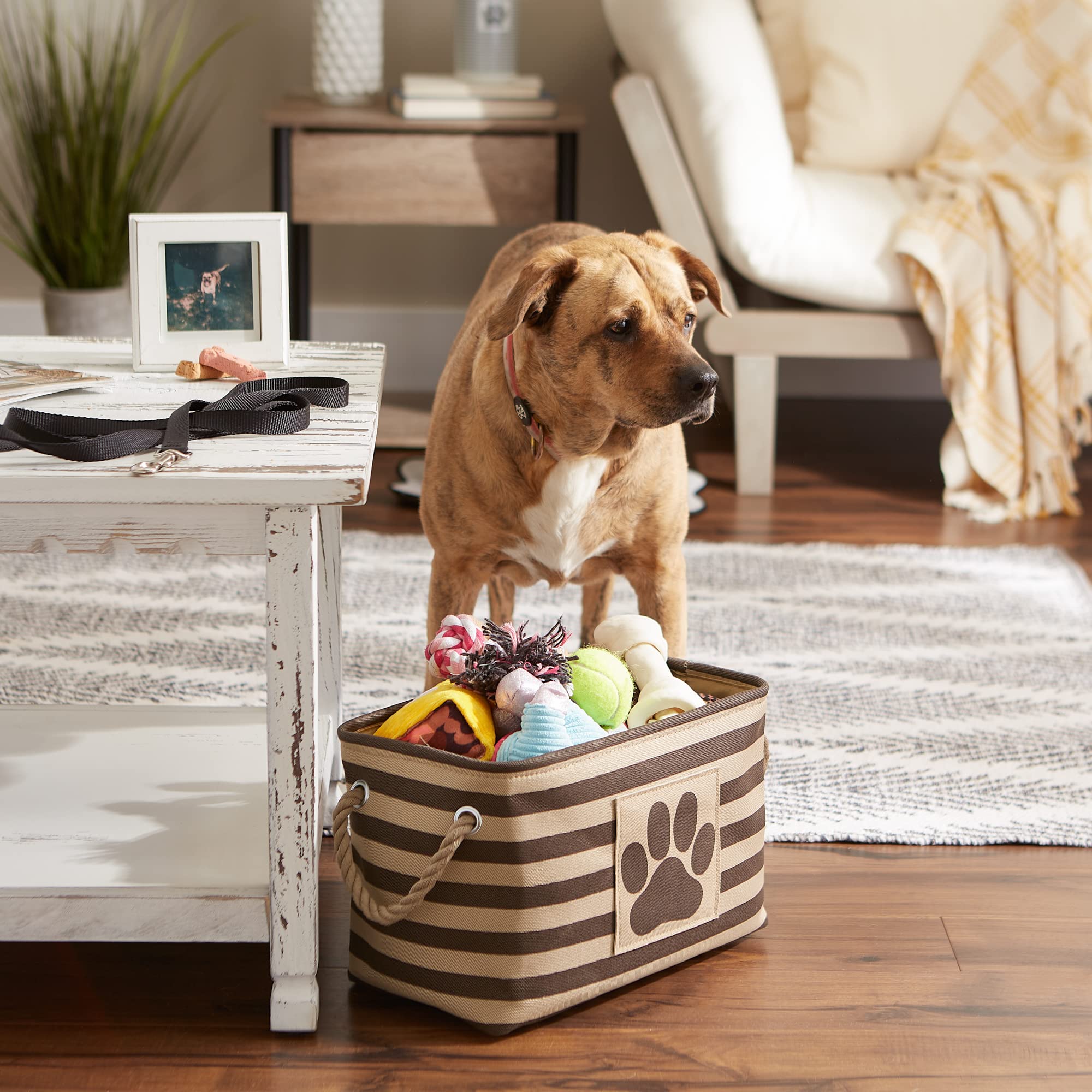 Bone Dry Pet Storage Collection Striped Paw Patch Bin, Small Rectangle, Brown