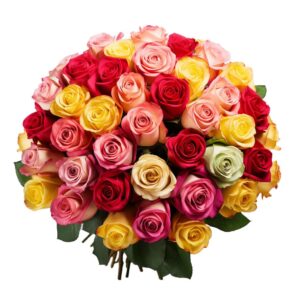 100 assorted roses- fresh cut flowers- 4 colors (om)