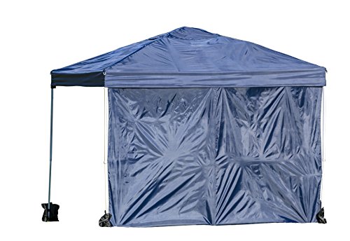 World Famous Sports Sun Canopy, 10'x10', Blue