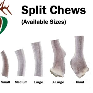 Elkhorn Premium Chews - Small Split Twin Pack (for 0-20 lb Dogs and Puppies) Premium Grade Elk Antlers for Dogs (2 Pieces) Sourced in The USA