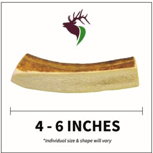 Elkhorn Premium Chews - Small Split Twin Pack (for 0-20 lb Dogs and Puppies) Premium Grade Elk Antlers for Dogs (2 Pieces) Sourced in The USA