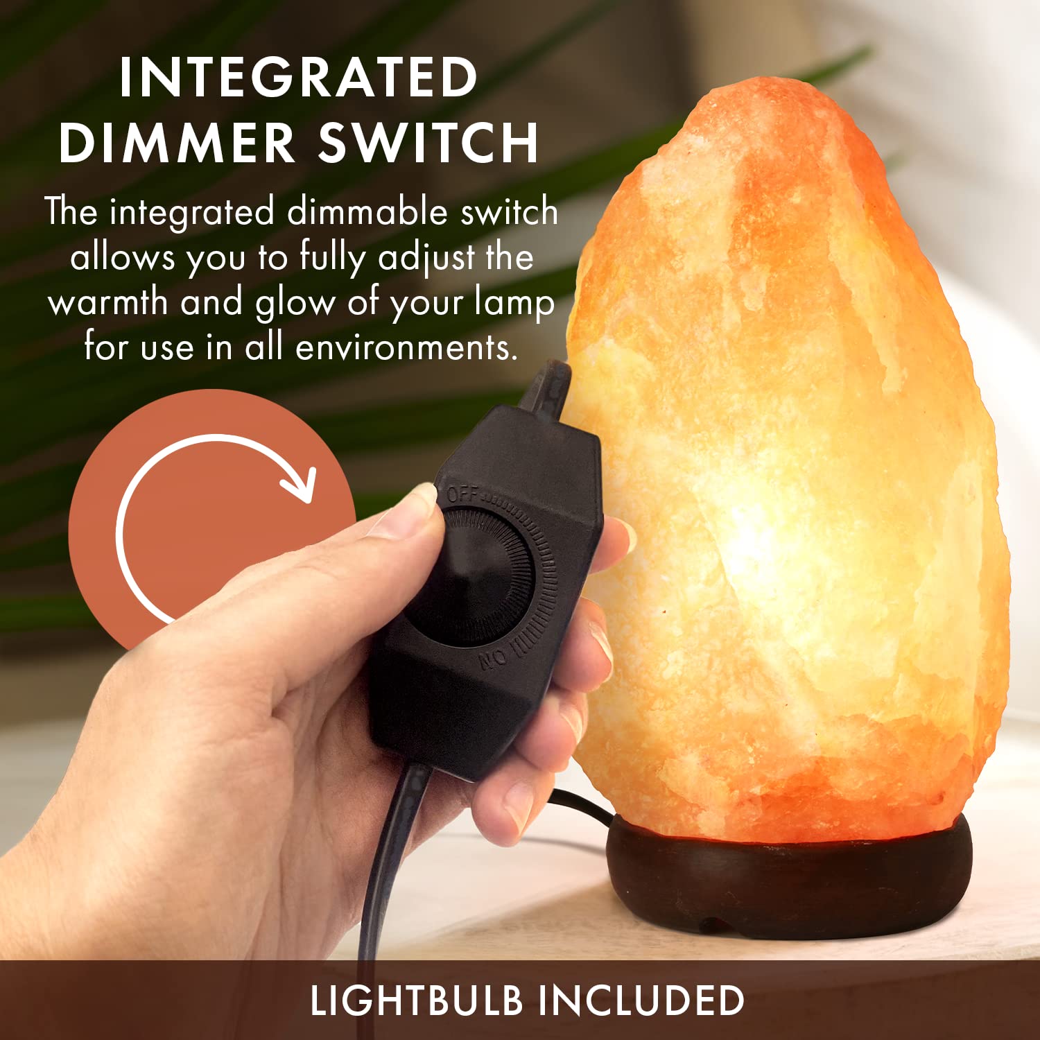 The Body Source Himalayan Salt Lamp 8-10 inches (7-11Ib), includes Lamp Dimmer Switch and Night Light - All Natural Salt Lamp with Handcrafted Wooden Base and Salt Lamp Light Bulb Replacement