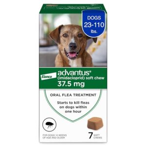 advantus dog advantus chewable flea treatment for dogs 23 - 110 lbs. | 7 ct.