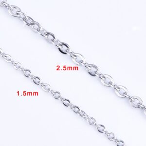 33 Feet Stainless Steel DIY Link Chain Necklaces with 20 Lobster Clasps and 30 Jump Rings for Jewelry Making (2.5 mm)