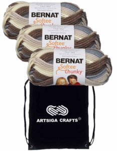 bernat softee chunky ombre natures way 161129-29012 (3-skeins - same dye lot) chunky bulky #5 acrylic yarn for crocheting and knitting - bundle with 1 artsiga crafts project bag