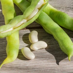 henderson lima bean seeds - 1 lb ~1,280 seeds - non-gmo, heirloom - vegetable garden seeds - also called: butter, chad, pallar beans