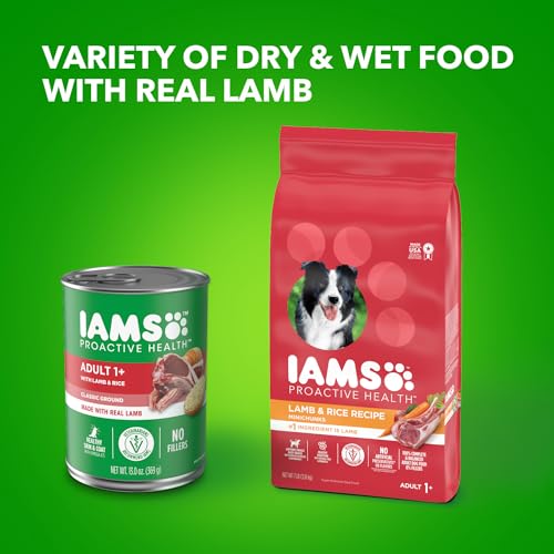 IAMS PROACTIVE HEALTH Adult Ground Dinner