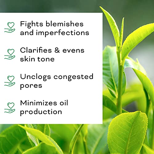 Beauty Foundry Clarifying Tea Tree Facial Oil, Targets Acne and Uneven Skin Tone, Antioxidant-Rich Beauty Oil, 1-fl oz/30ml (1 Pack)