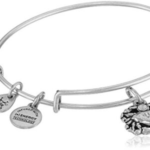 Alex and Ani Crab II Rafaelian Silver Bangle Bracelet