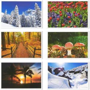 Best Paper Greetings 40 Pack Nature Postcards Bulk, Blank Travel Cards for Mailing, 20 Assorted Scenic Photos, Four Seasons (4x6 In)