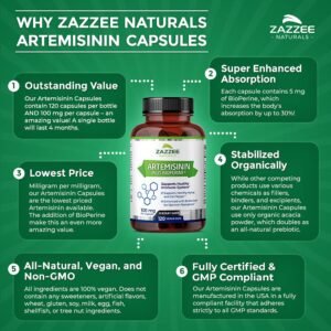 Zazzee High Absorption Artemisinin, 100 mg per Capsule, 120 Vegan Capsules, with 5 mg BioPerine for Maximum Absorption, Sweet Wormwood Extract, 4 Month Supply, All-Natural and Non-GMO