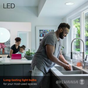 SYLVANIA LED Flood PAR38 Light Bulb, 90W Equivalent, Efficient 13W, 10 Year, 1175 Lumens, Medium Base, Dimmable, 5000K, Daylight - 2 Pack (79736)