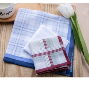 CoCoUSM Assorted Pack of Mens Classic Striped Border Cotton Handkerchiefs White 6PCS