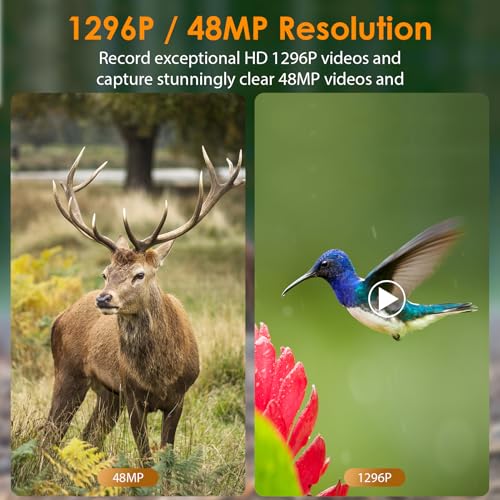 BLAZEVIDEO 2-Pack 48MP 1296P Game & Trail Cameras H.264 MP4 Video No Glow Wildlife Hunting Cams with Night Vision Motion IP66 Activated Waterproof for Outdoor Wildlife Hunting & Backyard Security