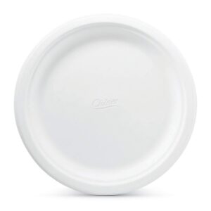 chinet paper dinner plates - 165 count (2 pack)