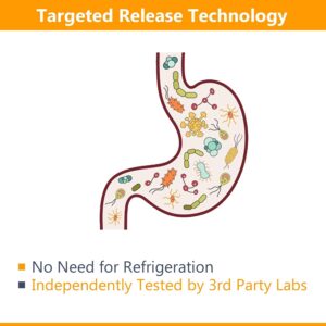 NewRhythm Probiotics 50 Billion CFU 20 Strains, 60 Veggie Capsules, Targeted Release Technology, Stomach Acid Resistant, No Need for Refrigeration, Non-GMO, Gluten Free