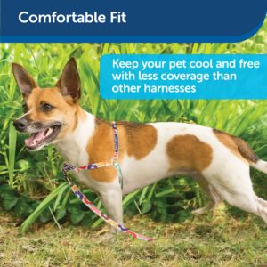 PetSafe EWH-C-HC-S-DNT Easy Walk Chic Harness, Small, Donuts