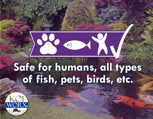 KoiWorx Defoamer - 32oz- Removes Foam from Decorative and Ornamental Ponds, Safe for Koi